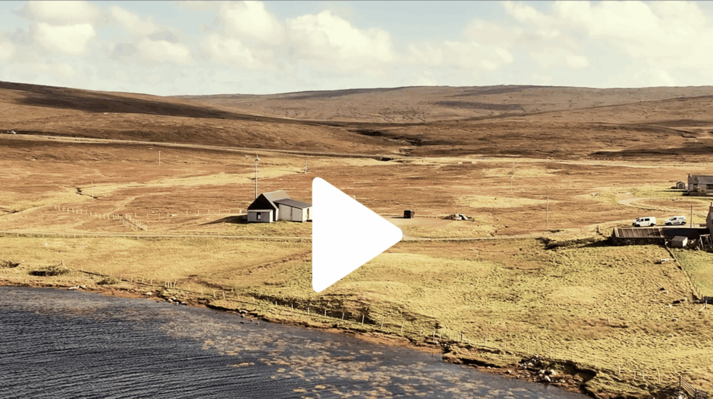 UNISON - the public service union